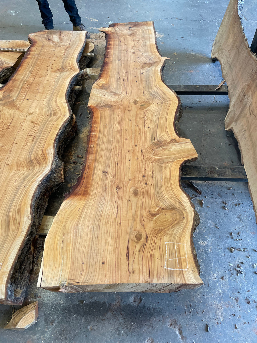 Cedar of Lebanon Slabs – Urban Wood Company