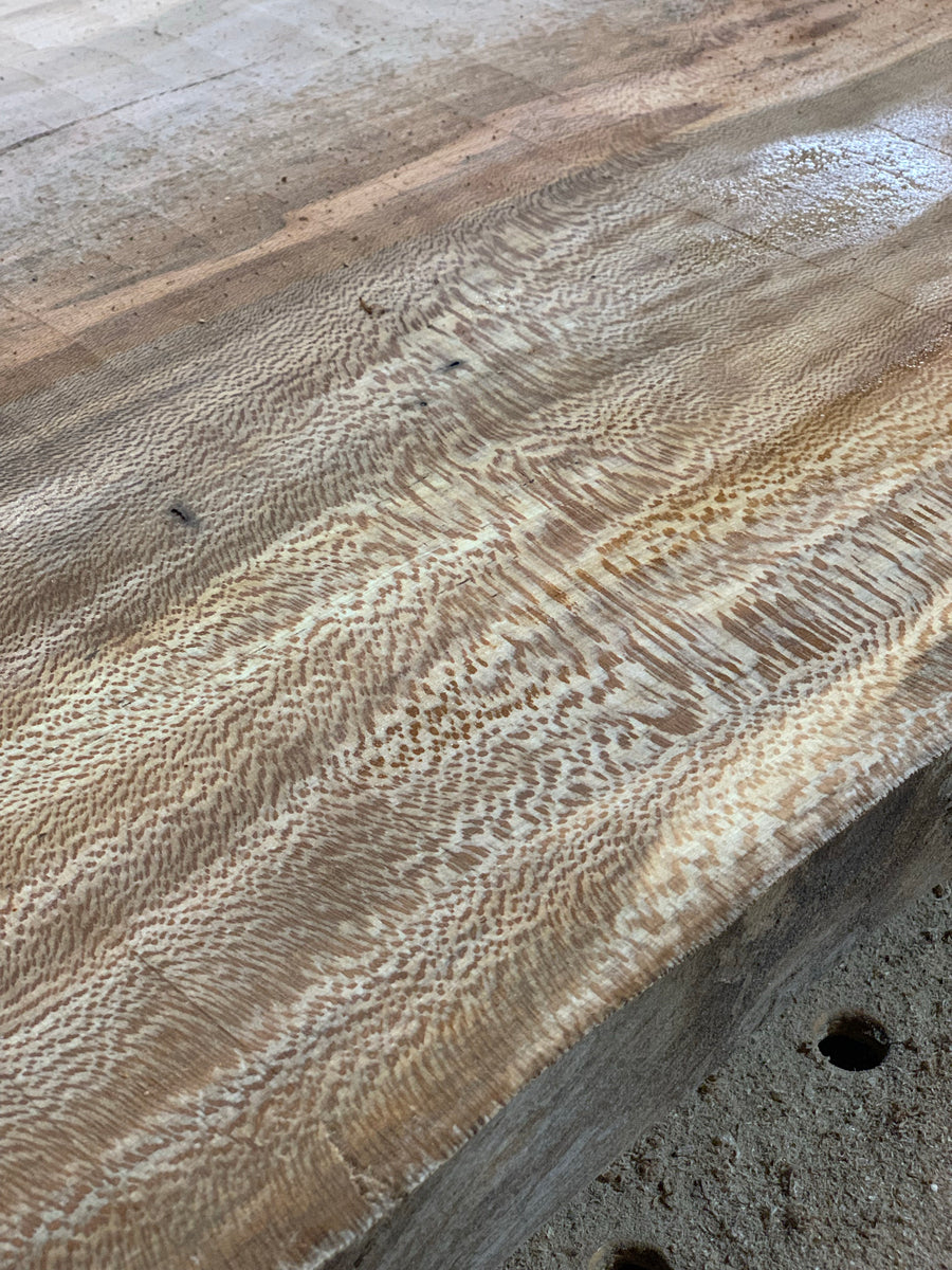 Sycamore Slabs – Urban Wood Company